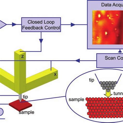 3 Stm Scanning Unit The Beetle Type Stm Head Allows Reproducible Download Scientific Diagram