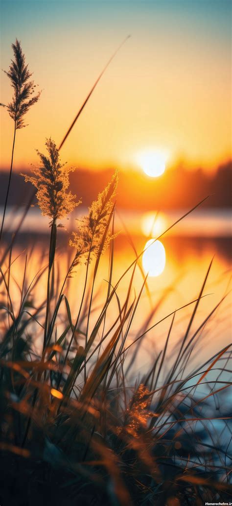 23 عکس از زیبایی های جی تی ای وی با کیفیت بالا