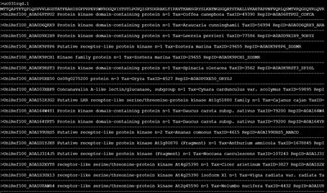 Hhblits The Output First Sequence Length32763 Is Not Equal To Query Sequence Length34350