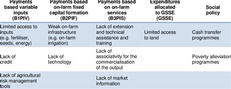 classification of constraints addressed by the five countries