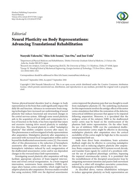 Pdf Neural Plasticity On Body Representations Advancing Translational Rehabilitation