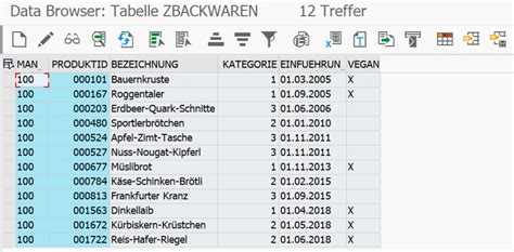 Programmieren Mit Sap Abap Teil 2 Das Abap Dictionary In Der Praxis