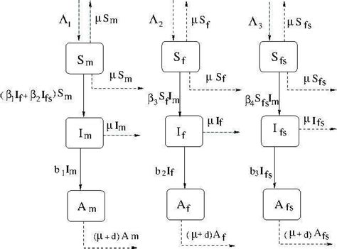 Transfer Diagram Of The Model 1 1 Download Scientific Diagram