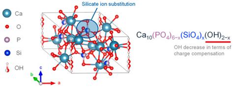 Biomimetics Special Issue Biomimetic Remineralization On Enamel And Dentin