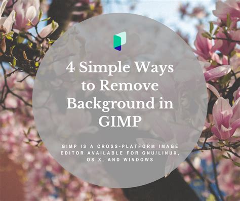 How To Remove Background In GIMP Gimp Gimp Photo Editing Photo Editing