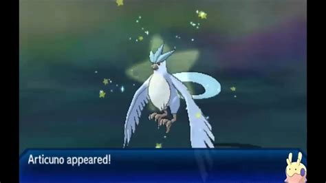 Epic Live Shiny Articuno Almost Predicted Again After Only 94 Srs