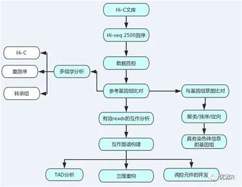 「workshop」第二十五期 Hic数据分析简介 腾讯云开发者社区 腾讯云