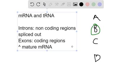 Solved In An Rna Molecule A N Is A Genetic Code Word That Corresponds To One Amino Acid