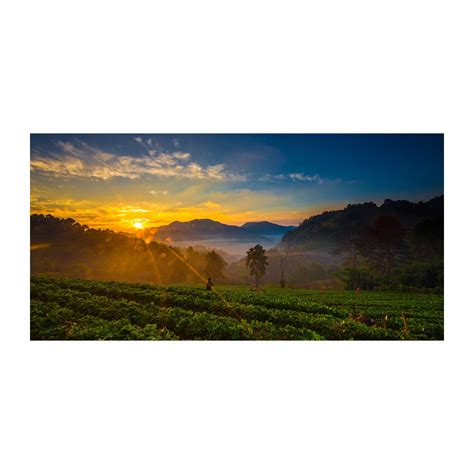 Imagine Pe Panza 100 X 50 Decorarea Peretilor Gata De Agatat
