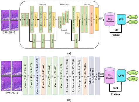 Cnn And Svm Hybrid Models A Hybrid Model Between Xception And Svm B