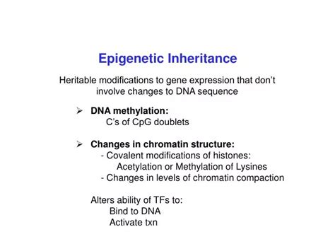 Ppt Epigenetic Inheritance Powerpoint Presentation Free Download
