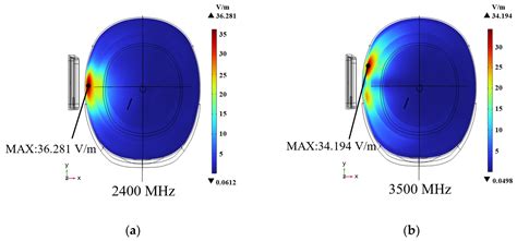 Specific Absorption Rate And Temperature Distributions In The Human