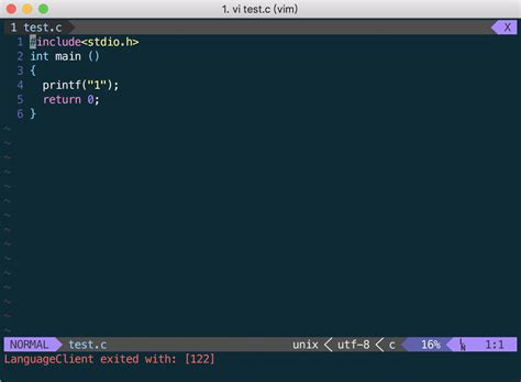 Vim Zsh Print Automatically After The Result Of The C Program Stack Overflow