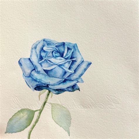 감성그림 고래그림 🐳수채화 Watercolor On Instagram 아마트루다 이탈리아 수채화종이 꽃그림