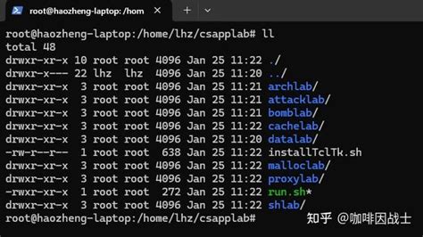 深入理解计算机系统CSAPPlab环境配置 知乎
