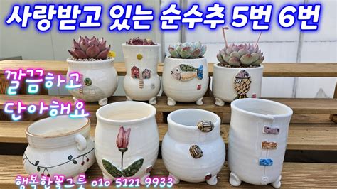 깔끔하고 단아한 순수추 5번6번🧡 몽땅구입시 할인 5만원 행복한꽃그릇 010 5121 9933 전국택배가능 유료광고포함