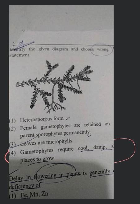 12 Identify The Given Diagram And Choose Wrong Statement Filo