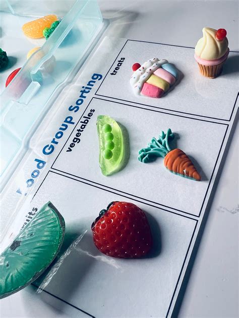 Miniature Food Sorting Kit Sorting Objects Preschool Sorting Task Bo