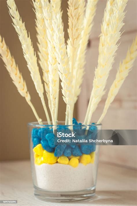 파란색과 노란색 꽃병에 밀의 귀입니다 우크라이나어 색깔 냄비에 말린 식물입니다 하얀 나무 선반에 흰 밀 우아한 에코 장식 인테리어에 시리얼 꽃다발입니다 흰 작은 이삭