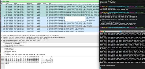 Not Responding To Multicast Requests While On Link Local Network Issue 14 Troglobit Mdnsd