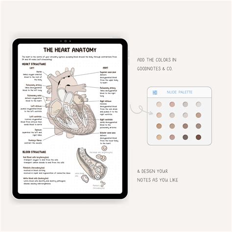 Nude Palette Digital Planner Color Swatches Design Ideas Color Palette Goodnotes Notability