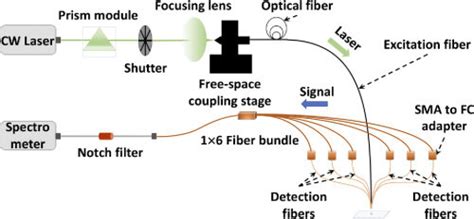 Configuration Of The Multi Fiber Optic Raman Probe System The Central Download Scientific
