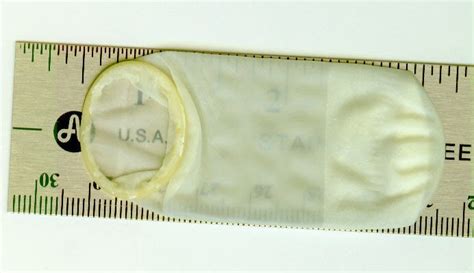 Vicious Momma Whisker Biscuits And Stuff