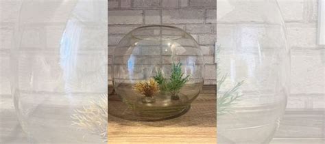 Аквариум круглый купить в Тольятти Животные и зоотовары Авито