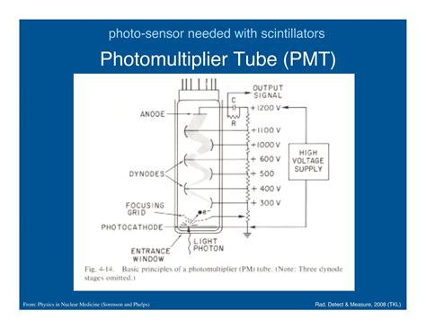 Radiation Detector And Measurement Techpdf