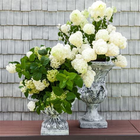 Вазон для цветов высокий под бетон диаметр 70см U07933-BT из Садовые ...