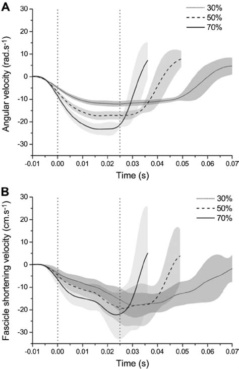 Mean Values Ϯ Sd Of Ankle Angular Velocity In Rad S During Qr Download Scientific Diagram
