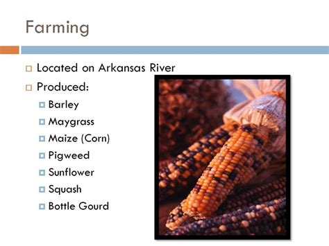 Ppt The Toltec Mounds Powerpoint Presentation Free Download Id 2668659