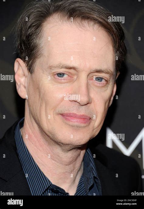 Actor Steve Buscemi Attends The Premiere Of Hbos Mildred Pierce At