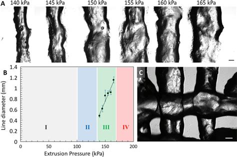 Line Drawing Of The Bioink Formulation A Optical Micrographs Of Download Scientific Diagram