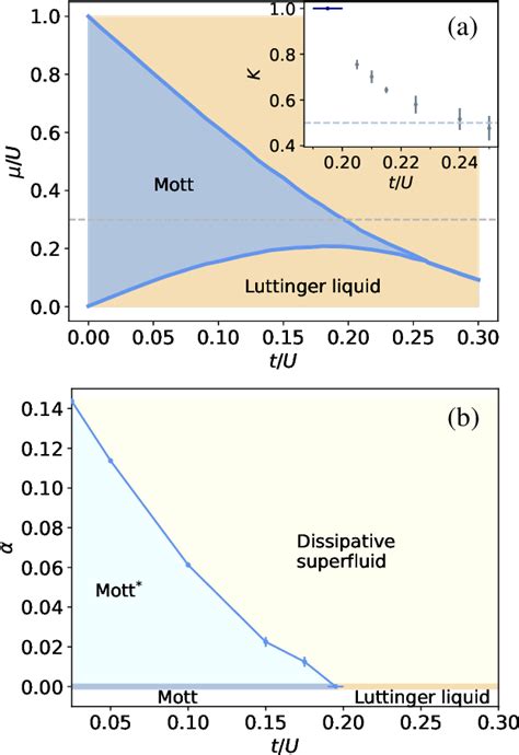Figure 1 From Dissipation Induced Long Range Order In The One Dimensional Bose Hubbard Model