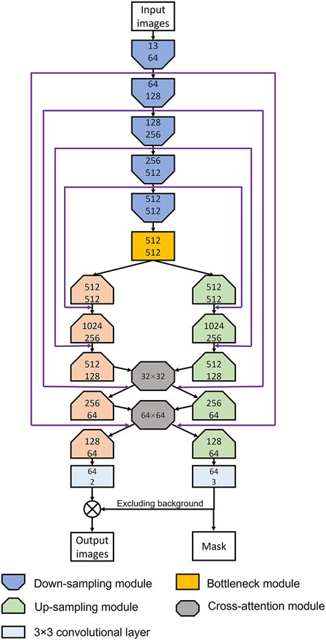 Bright Field To Fluorescence Microscopy Image Translation For Cell Nuclei Health Quantification