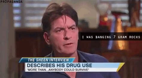 Charlie Sheen Winning  Charlie Sheen Meme S Find And Share On