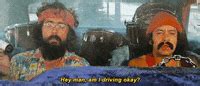 Cheech And Chong Animated 