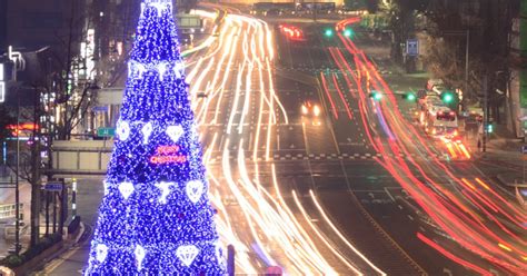 포토 크리스마스트리가 찾아왔어요