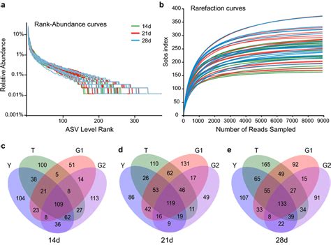 Analysis Of ASV Level Data By Amplification Sequencing ASV Level