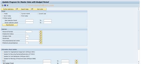 Pc00m99infbpdupd Sap Tcode Update Infotypes For Budget Period