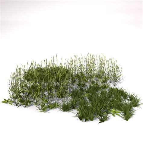 Render Nature Renders Plante Render Nature Renders Plante