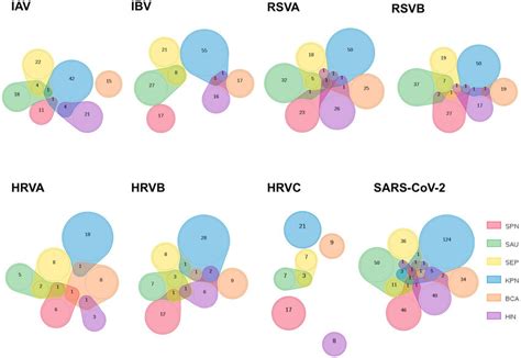 Comparison Of Peptidomes Shared By Respiratory Viruses And Bacteria In Download Scientific