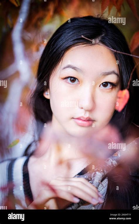 Fall Colors Portrait Of A Slender Young Woman Standing Under A Maple