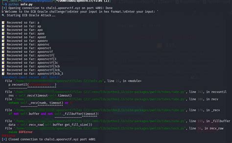 Apoorvctf 2025 Write Up Dc4ptain