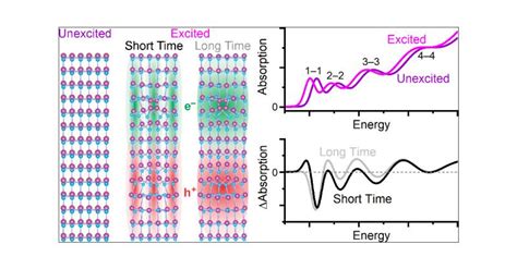 Quantum State Renormalization In Semiconductor Nanoparticles Rena K