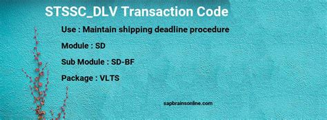 STSSC DLV SAP Tcode For Maintain Shipping Deadline Procedure