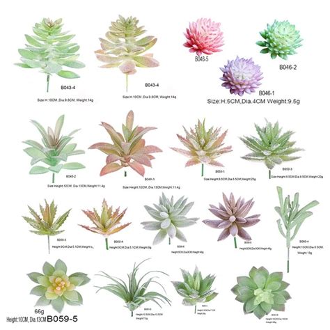 Simulation Artificielle Mini Plante Succulente Bureau Domicile Fleur D