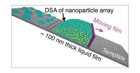 Free Energy Contributions To The Template Assisted Self Assembly Of Nanoparticles Using Steered