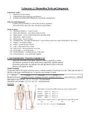 Lab 2 Docx Laboratory 2 Mammalian Teeth And Integument Laboratory Goals 1 Determine Tooth